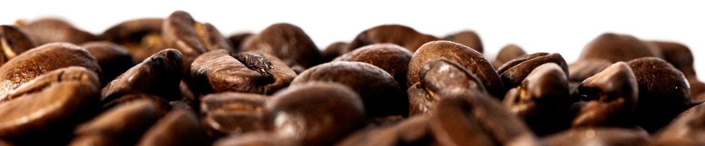 Cos’è un Gheriglio? Scopriamo le Parti di una Noce | Foodoteka